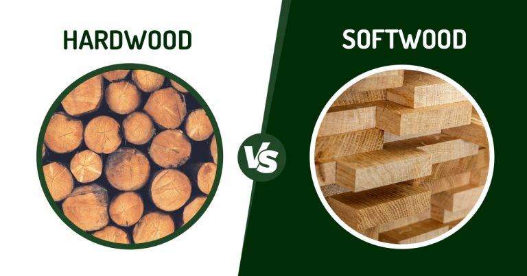 Hardwood vs Softwood : Unraveling the Core Differences