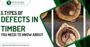 A Closer Look at Types of Defects in Timber