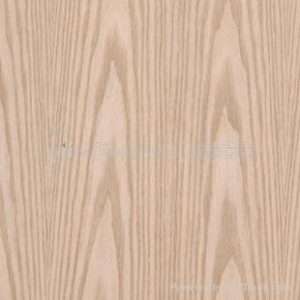 10 Popular Types of Ash Wood : Properties and Uses