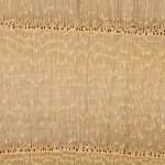 10 Popular Types of Ash Wood : Properties and Uses