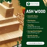 10 Popular Types of Ash Wood : Properties and Uses