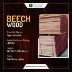 A Practical Guide to Beech Wood Properties and its Uses