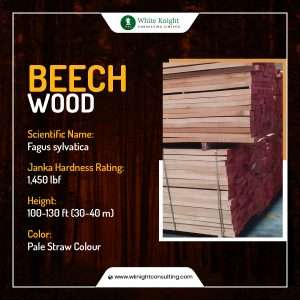 A Practical Guide to Beech Wood Properties and its Uses