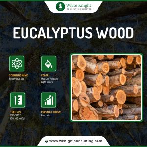 Eucalyptus Wood : A Guide to its Properties and Uses