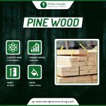 Pine Wood : A Guide to Its Properties, Types, and Uses