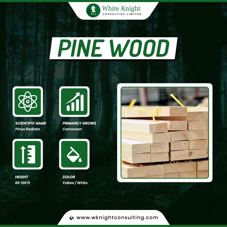 Pine Wood : A Guide to Its Properties, Types, and Uses