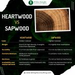Heartwood vs Sapwood : A Closer Look at The Differences