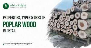Properties, Types and Uses of Poplar Wood in Detail