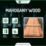 Mahogany Wood Properties, Types & Uses: A Complete Guide