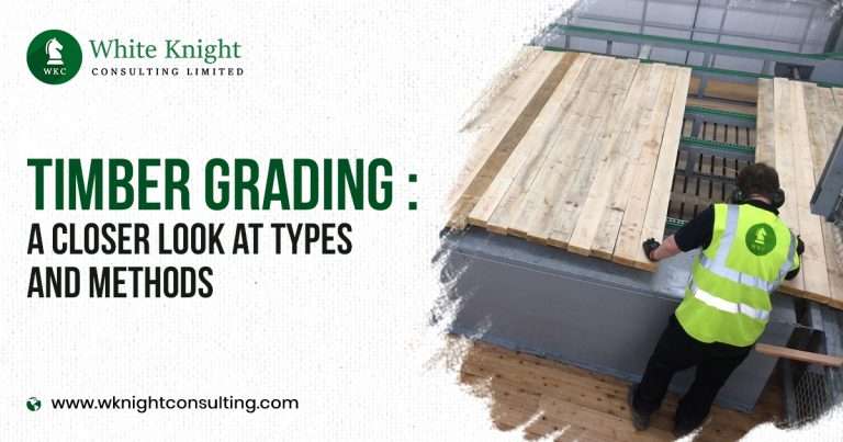 Timber Grading : A Closer Look at Types and Methods