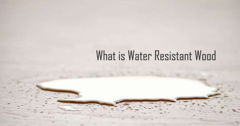 The Most Water Resistant Wood Species for Your Project