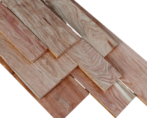 13 Exotic Wood Types : Exploring The Most Rare Species