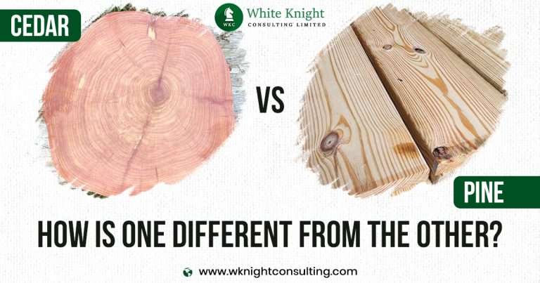 Cedar Vs Pine : How Is One Different from the Other?
