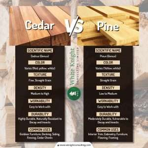 Cedar Vs Pine : How Is One Different from the Other?