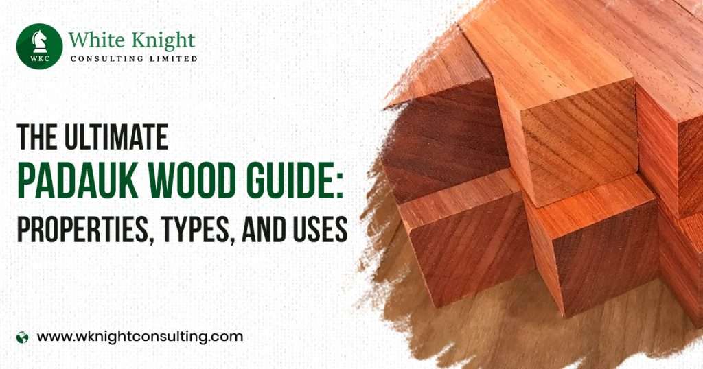 The Ultimate Padauk Wood Guide: Properties, Types, and Uses