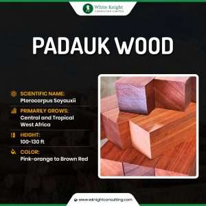 The Ultimate Padauk Wood Guide: Properties, Types, and Uses