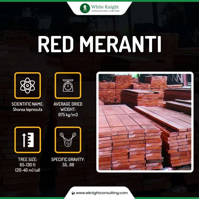 Red Meranti Wood : Exploring its Properties & Practical Uses