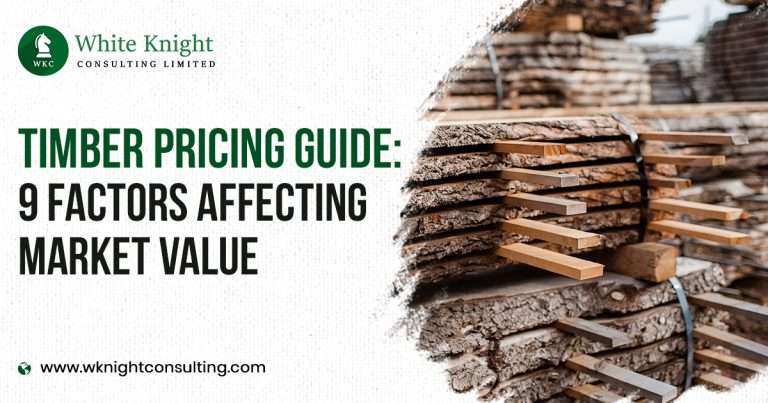9 Factors That Drive Timber Pricing : All You Need to Know