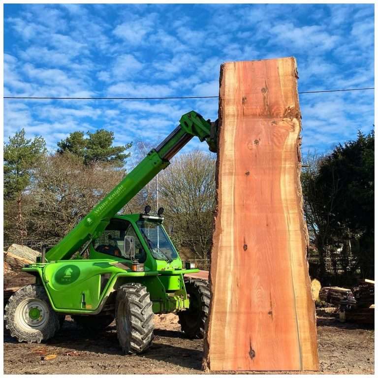 A Closer Look at Timber Harvesting Methods & Process