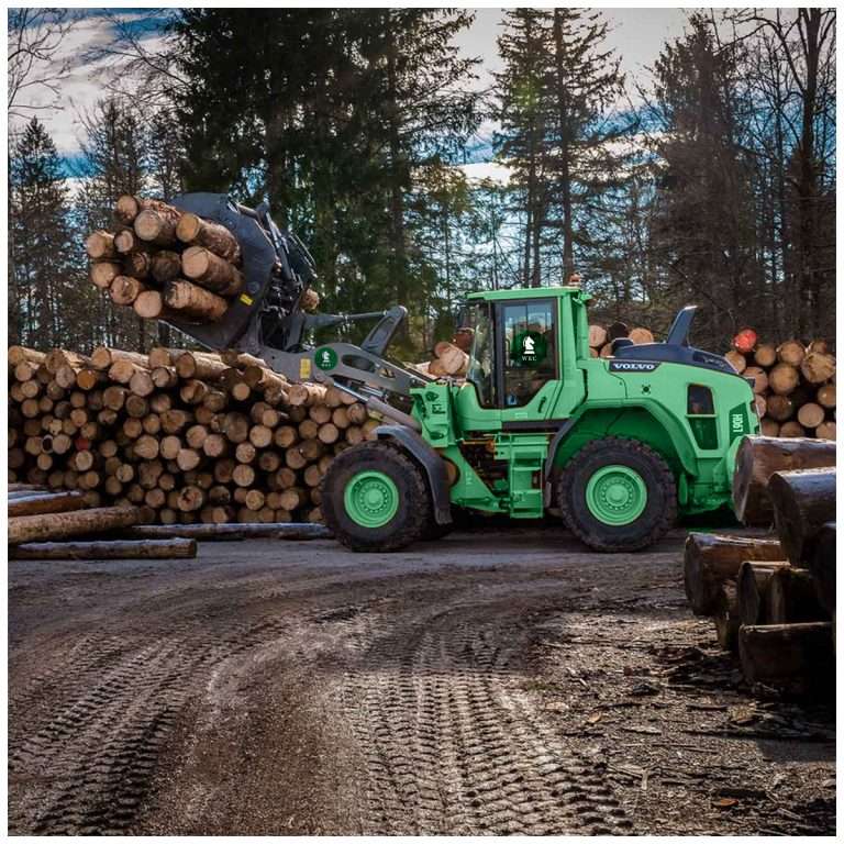 A Closer Look at Timber Harvesting Methods & Process