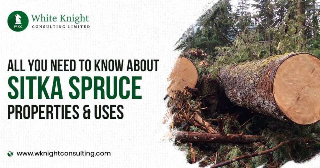 A Closer Look at Sitka Spruce Properties & Uses