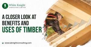 13 Common Uses of Timber Everyone Should Know About